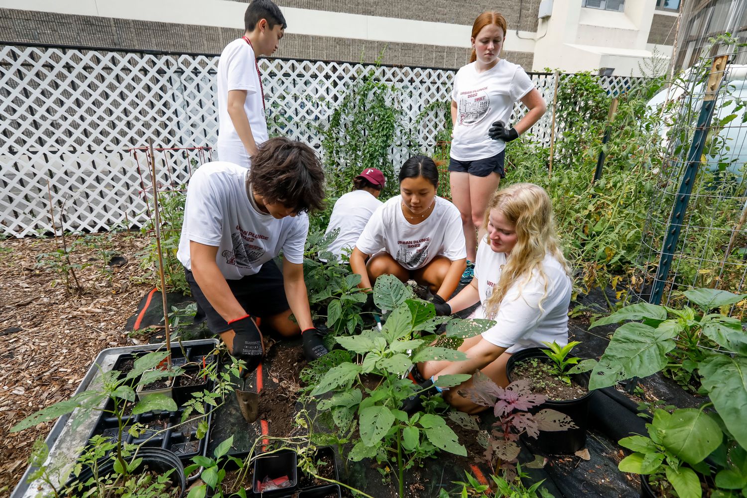 Teaching, Learning, and Research | Fordham