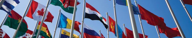 International Political Economy and Development Program | Fordham