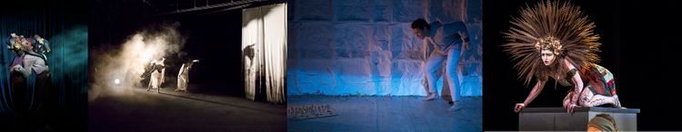 Directing Concentration Interviews | Fordham